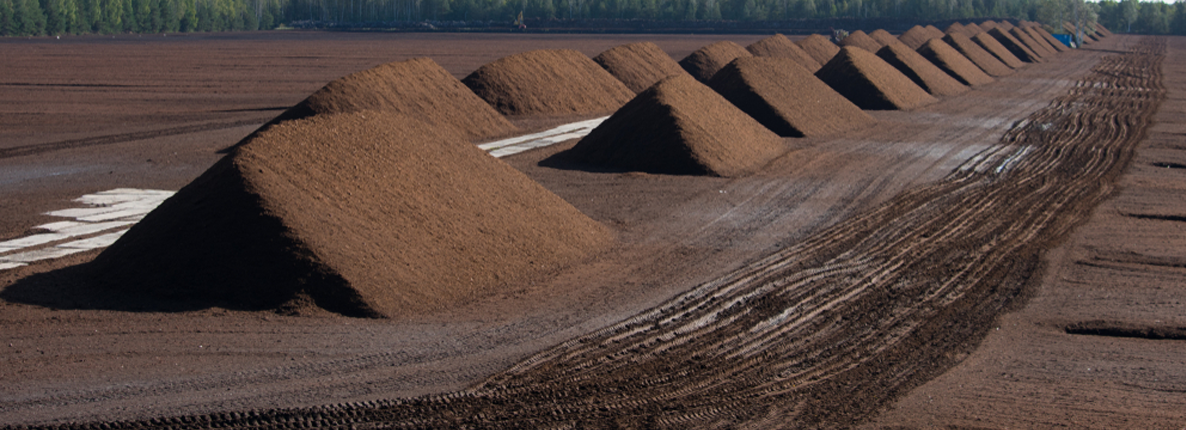 Peat Moss – baltpeat.com