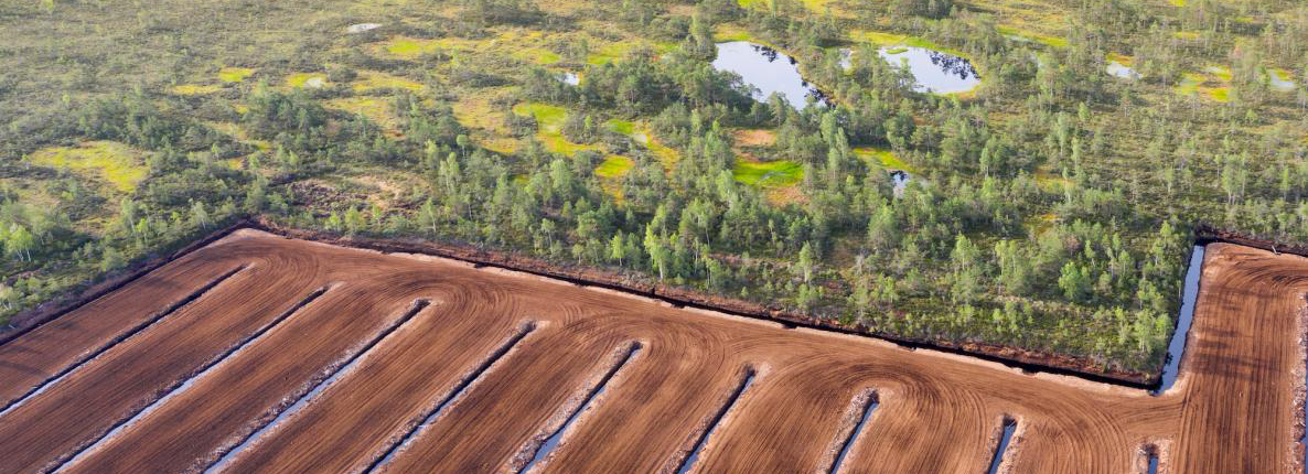 Peat Moss – baltpeat.com