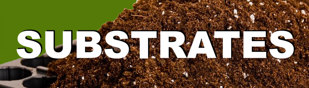 Services – baltpeat.com